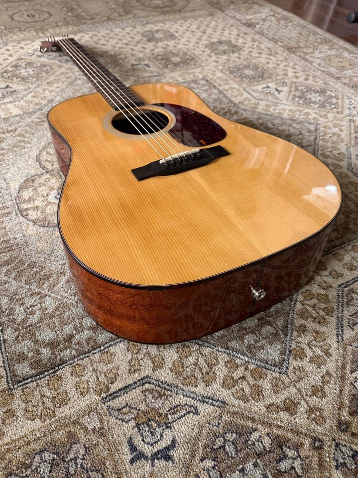 Eastman E1D-DLX Dreadnought Acoustic-Electric Guitar in Natural w/ Gig ...