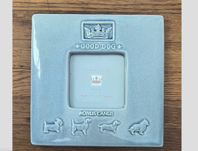 Amscan Pet Good Dog Bonus Canus Small Blue Picture Frame 3.5" x 3.5" | eBay