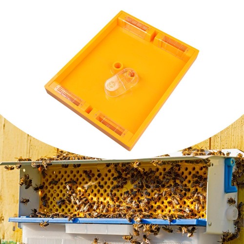 Bee Feeder Easy to Use High Reliability Sturdy Efficient Beehive Top ...