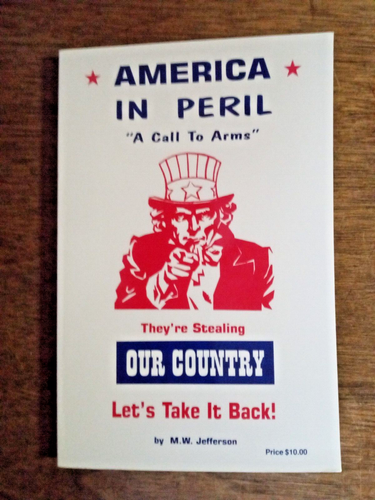 America In Peril: A Call To Arms They're Stealing Our Country, Let's ...