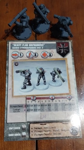Dust Tactics Heavy Flak Grenadier Schwer Sturmgrenadiere AUSF C ...
