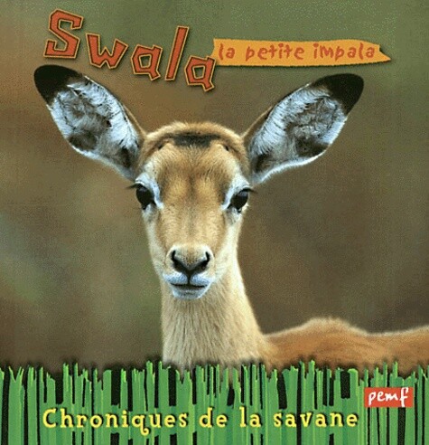 Swala la jeune impala, M. Nicolotti | eBay