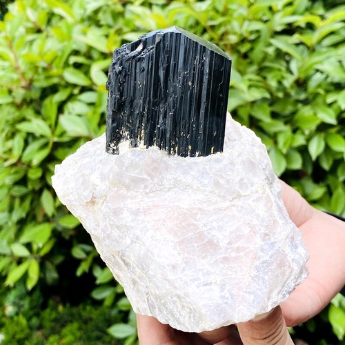 3.39LB Natural black tourmaline and quartzite symbiotic mineral ...