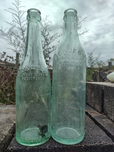 Lot Of Two Different Beaufont Lithia Water Bottles From Richmond ...