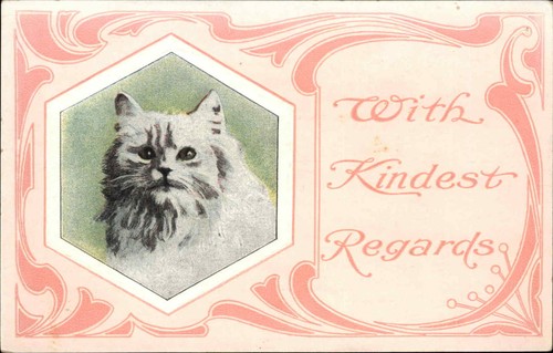 Kind Regards Fluffy Grey Kitten Kitty Cat Decorative Border c1910 ...