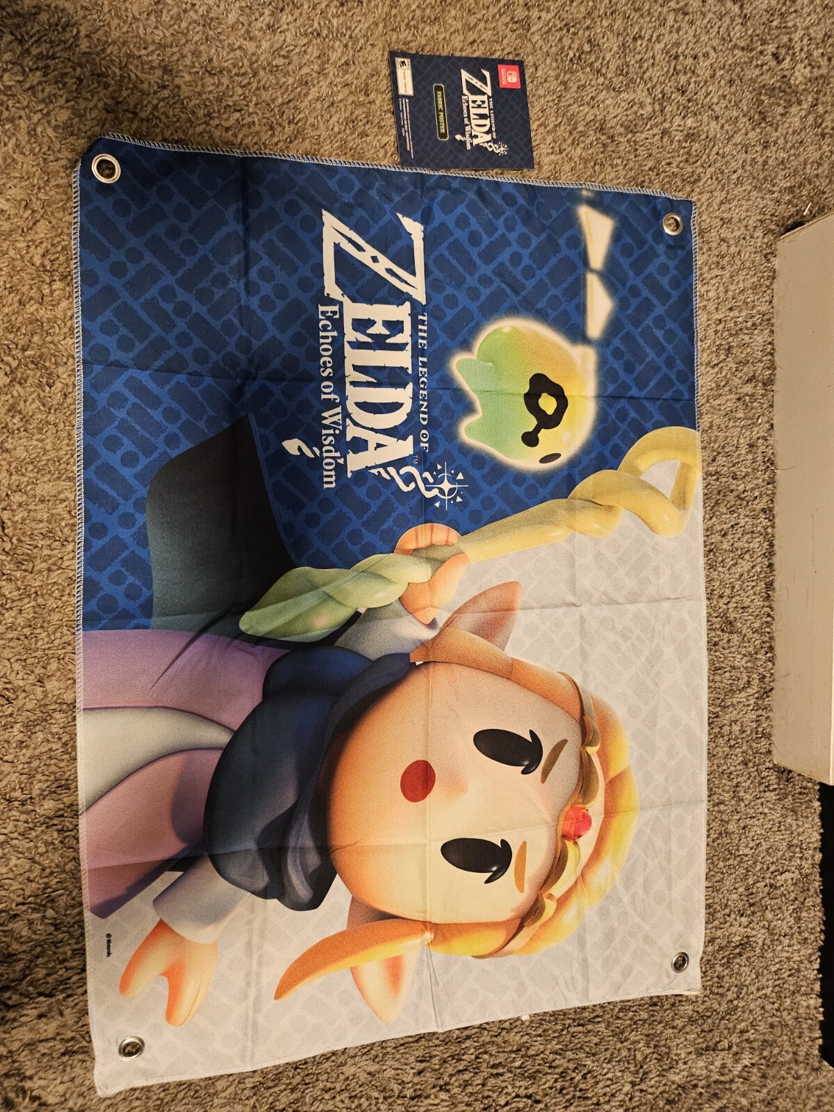 The Legend Of Zelda: Echoes Of Wisdom - Gamestop Preorder Flag ...