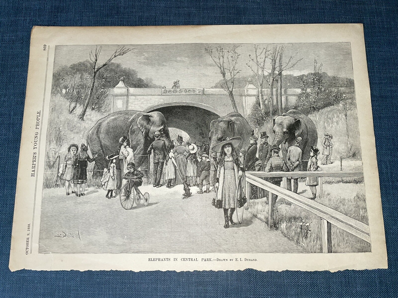 Antique 1888 ELEPHANTS in CENTRAL PARK, NEW YORK by Durand Engraving ...