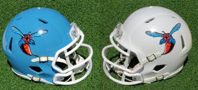 DELAWARE STATE HORNETS FOOTBALL MINI HELMET | eBay