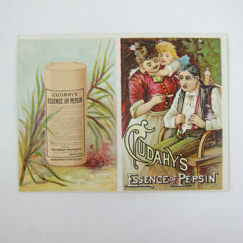 Victorian Trade Card Cudahy's Essence of Pepsin Family Calendar 1893 ...