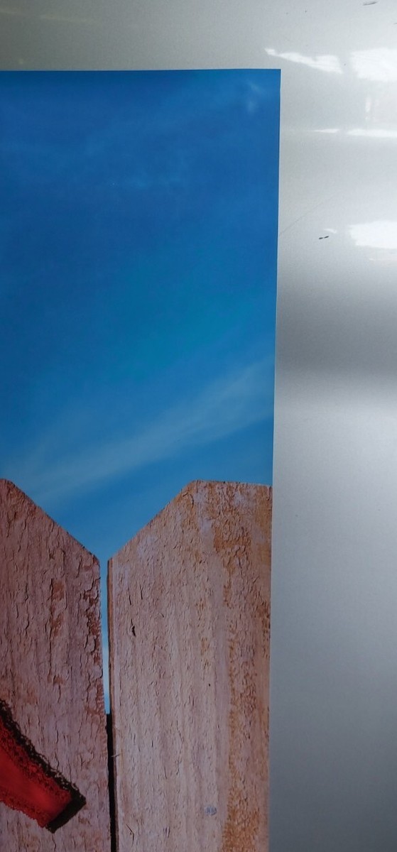 Bad Neighbors Movie Poster