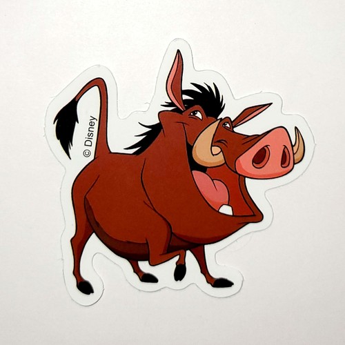 Disney Lion King Simba Timon Pumbaa Scar Anime Cartoon Water Resistant ...