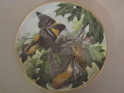ORIOLE "BUILDING THE NEST" collector plate ANTHONY RUDISILL Birds of ...