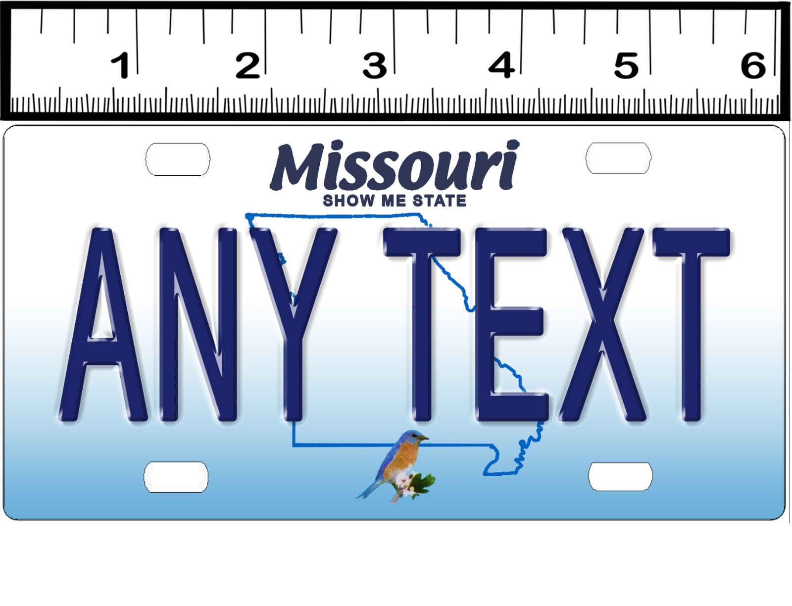 CUSTOM PERSONALIZED ALUMINUM BICYCLE MINI STATE LICENSE PLATE-MISSOURI ...