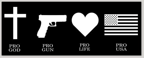 Pro Gun Bumper Stickers