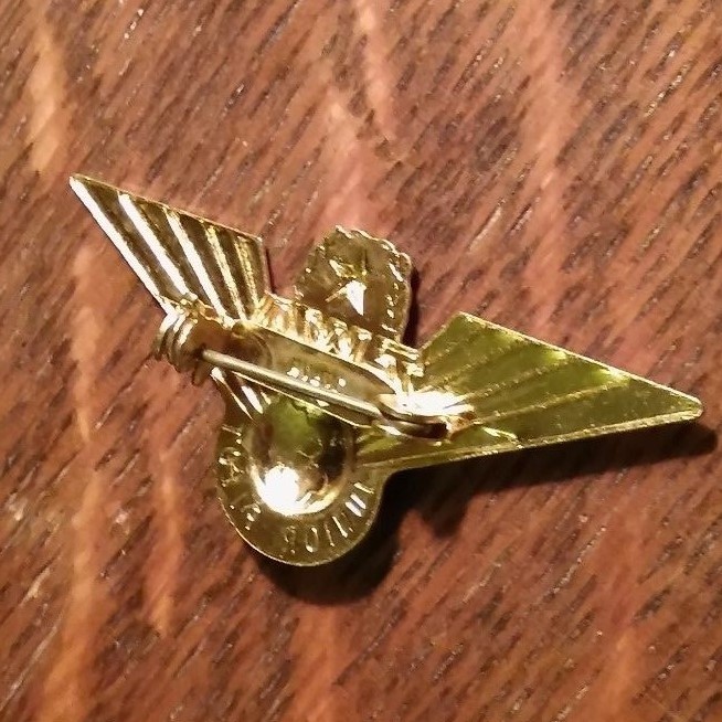 TWA Junior Pilot Wings - Vintage Trans World Air Lines Airlines Lapel ...