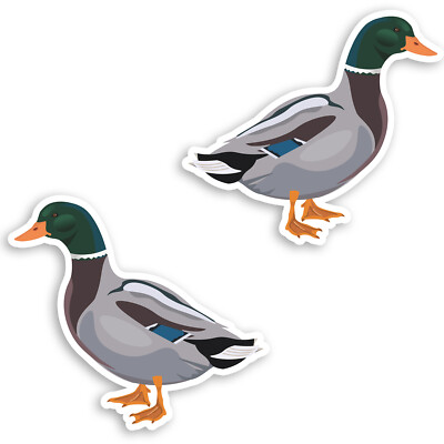 2 x 10cm Male Mallard Duck Vinyl Stickers - Ducks Birds Laptop Sticker ...