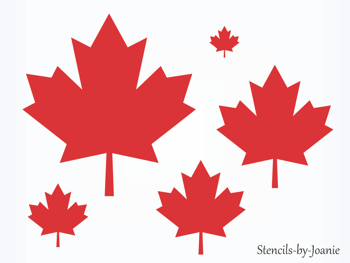 Japanese Maple Leaf Stencil Japanese Maple Leaves | Skeleton Leaves