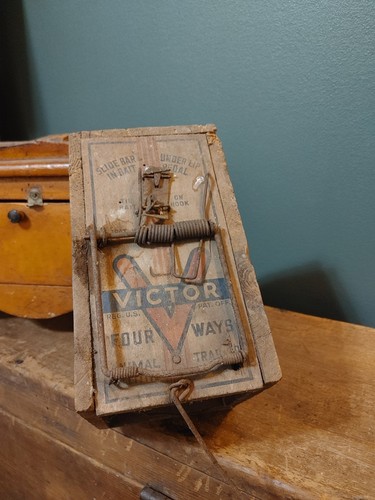 Antique Folk Art Handmade Box Trap With Victor Trap/Hercules Crate | eBay