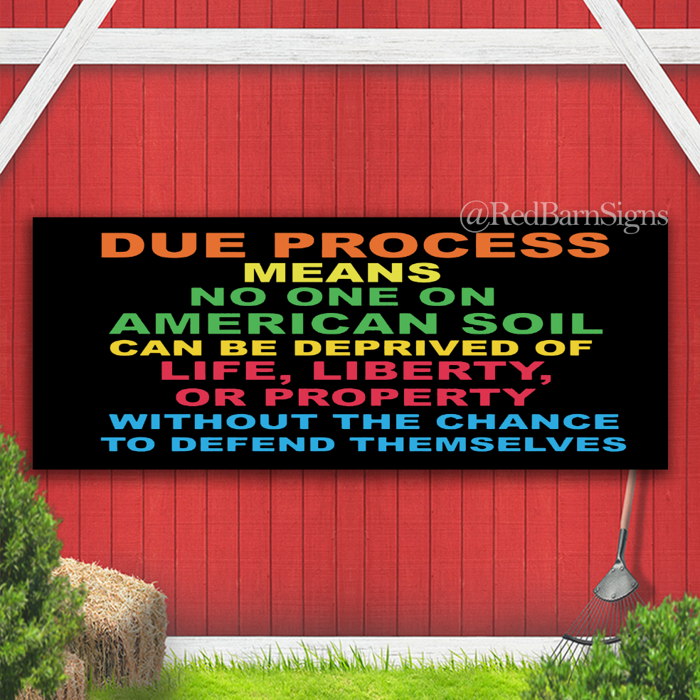 Due Process Banner Sign - American Soil, Democracy, Constitutional ...