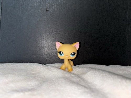 Littlest Pet Shop LPS Shorthair Cat 339 Brooke Hayes Authentic ...