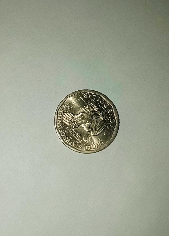 1979-P WIDE RIM Susan B Anthony Dollar (P) Silver Extremly Rare Coin ...