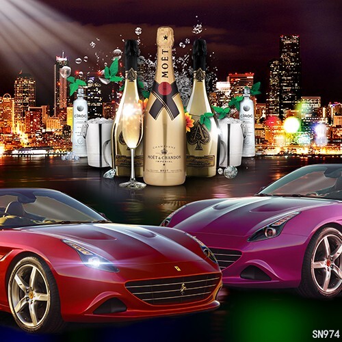 10'x10' Computer-painted Wine Car Party Vinyl Scenic Background ...