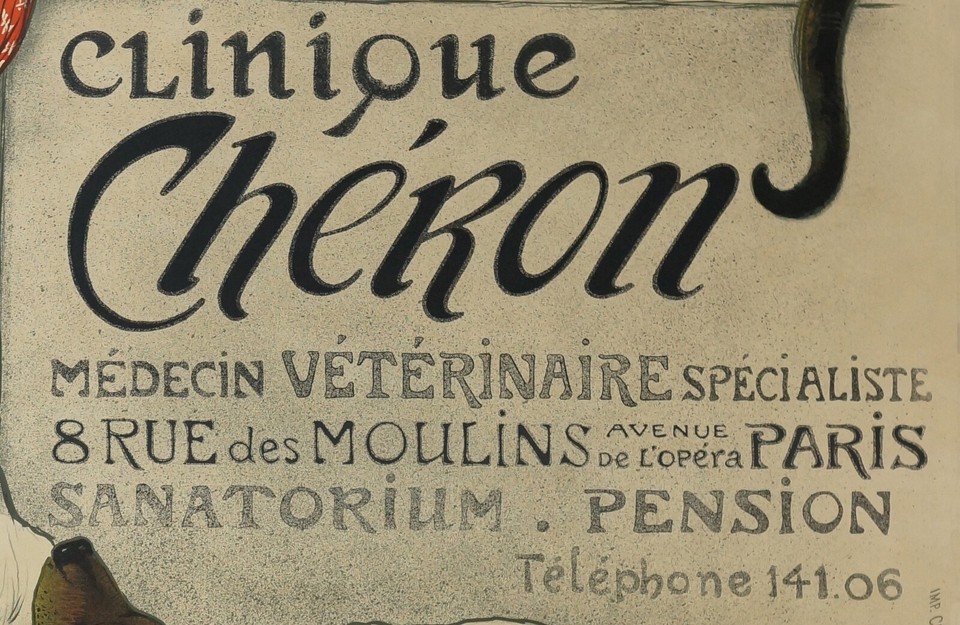 Steinlen CLINIQUE CHÉRON Fine Art Vintage Oversize Poster cats dogs ...