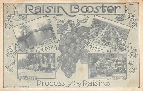 Raisin Booster, Fresno, California Packing, Drying Raisins 1910 Vintage ...