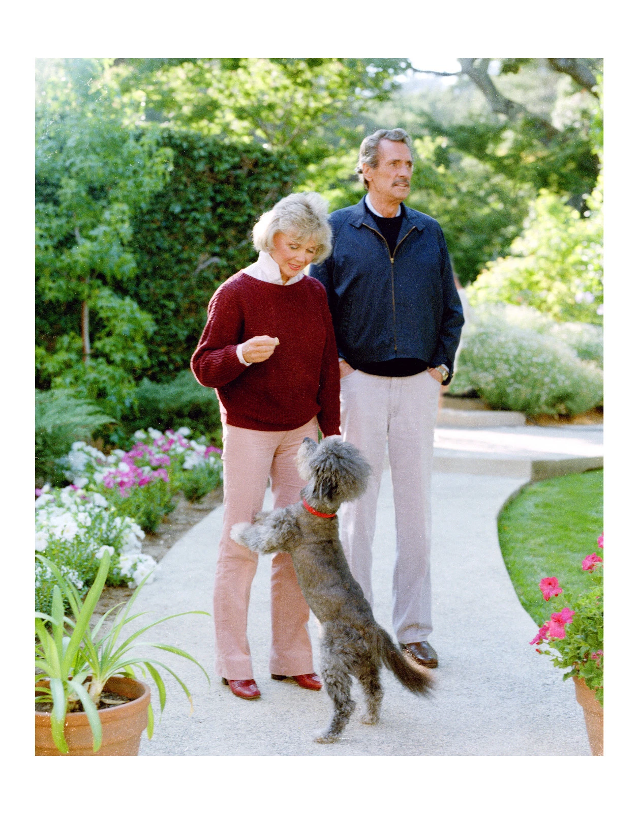 2024 Doris Day Pictures - Page 4 - The Doris Day Forum