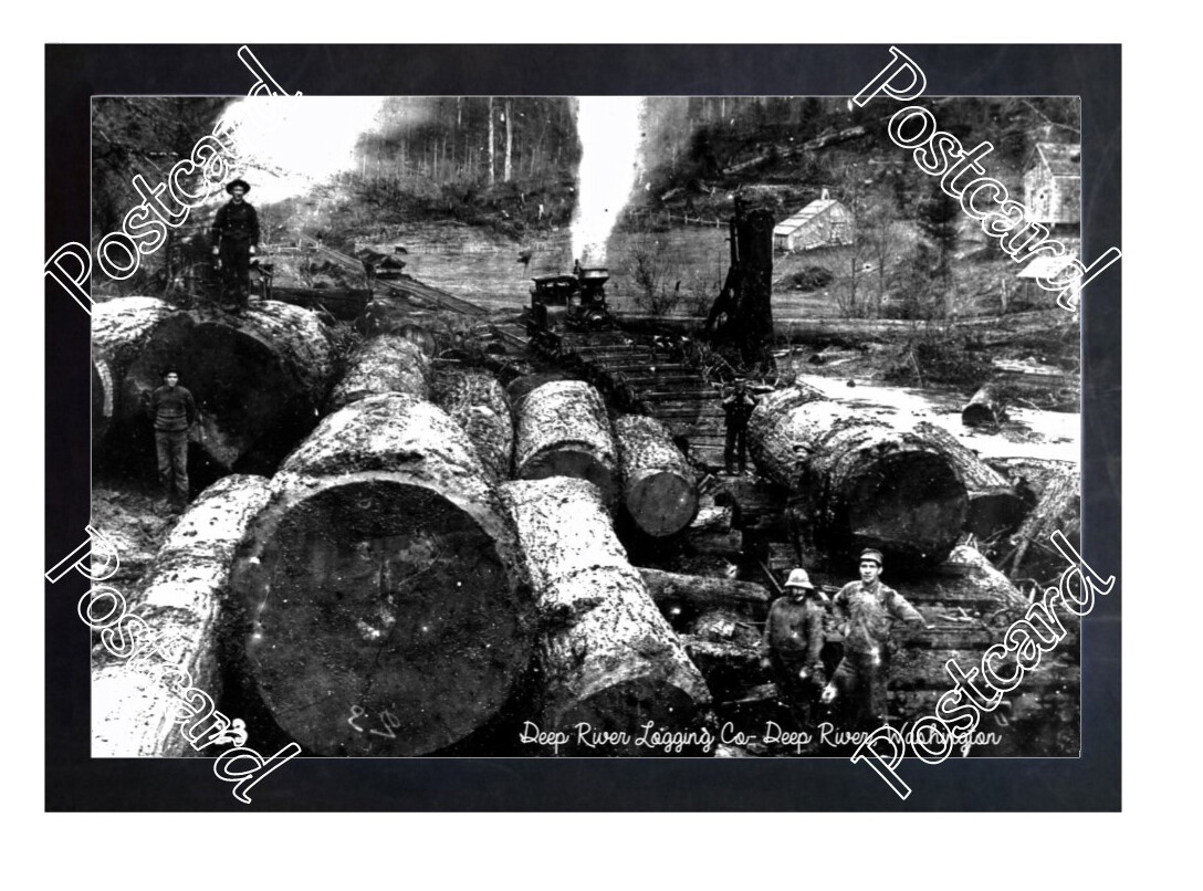 HISTORIC DEEP RIVER LOGGING Co. DEEP RIVER, WASHINGTON TRAIN POSTCARD ...