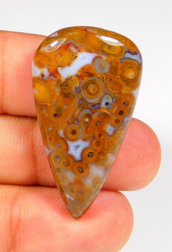 47.CT 100% Naturel Rouge Palmier Racine Agate Poire Cabochon Fossilisé ...