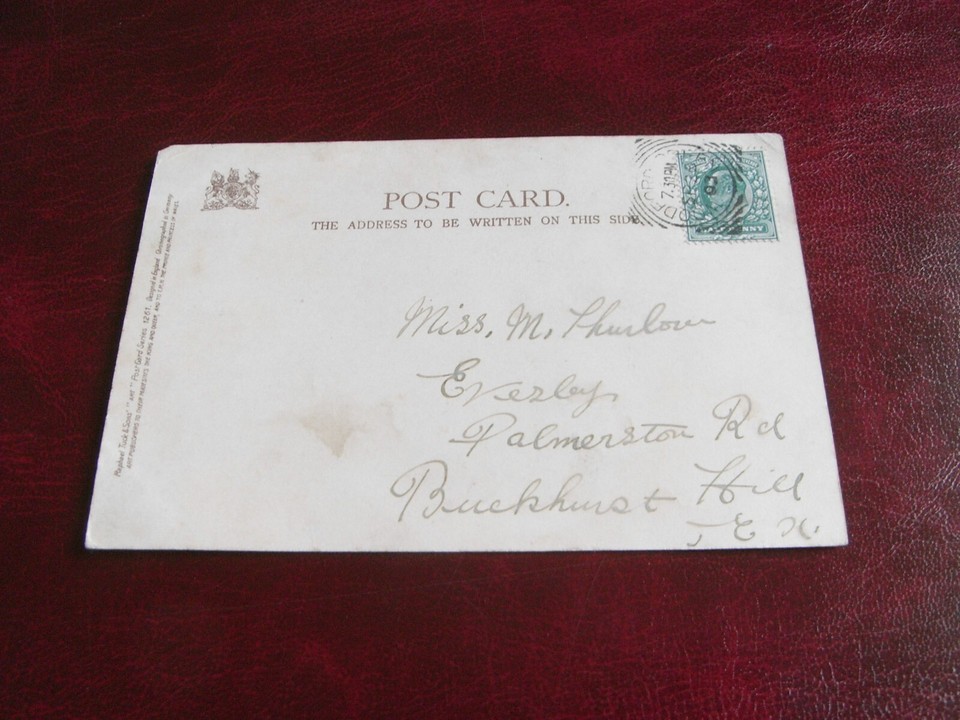 ORIGINAL LOUIS WAIN SIGNED TUCK CAT POSTCARD - THE YOUNG ARTISTS - No ...