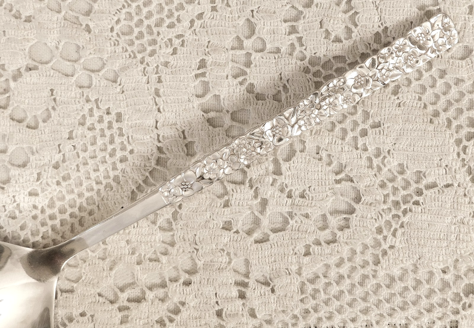 Love aka Precious Flower (1970) ~ 6¾" Gravy Ladle ~ 1847 Rogers Bros ...