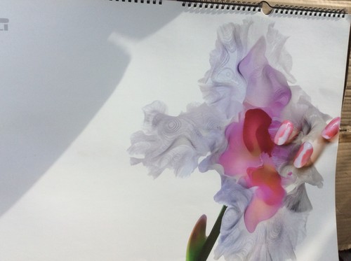 2004 Pirelli Calendar Photographs by Nick Knight. | eBay UK