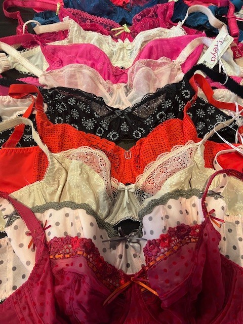 Bras for women-Set of 13 Size 30E, Curvy Kate, Freya, and More---NWT | eBay