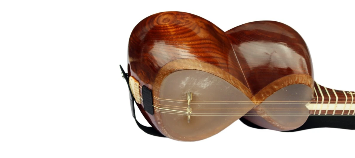 Iranian Tar String Instrument