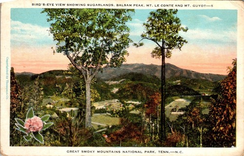 Great Smoky Mtns Natl Park Postcard c1950s Kropp 3805 N Le Conte ...