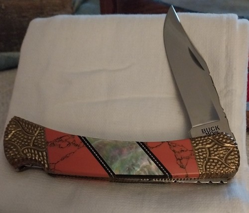 Michael Prater Painted Pony Custom Buck 110 Knife #17 | eBay