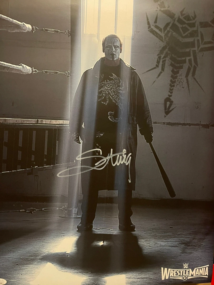 Wrestlemania 31 Poster Sting