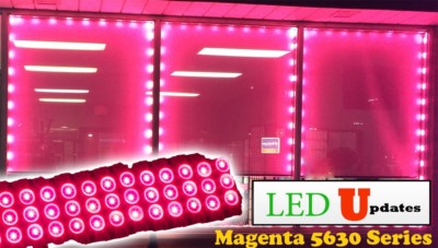 20ft Brightest Storefront Magenta LED LIGHT tmobile hot pink NO Power ...