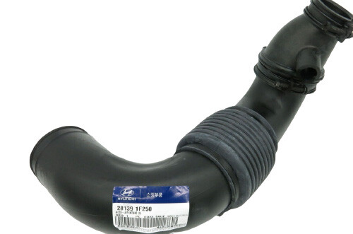 GENUINE 281391F250 HOSE-AIR INTAKE (B) for Hyundai & Kia | eBay
