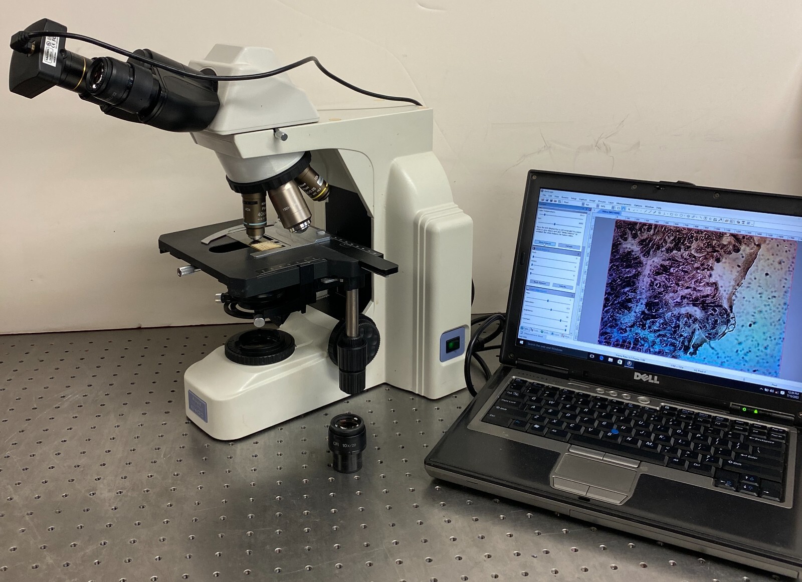 Nikon Eclipse E400 Microscope for sale online | eBay