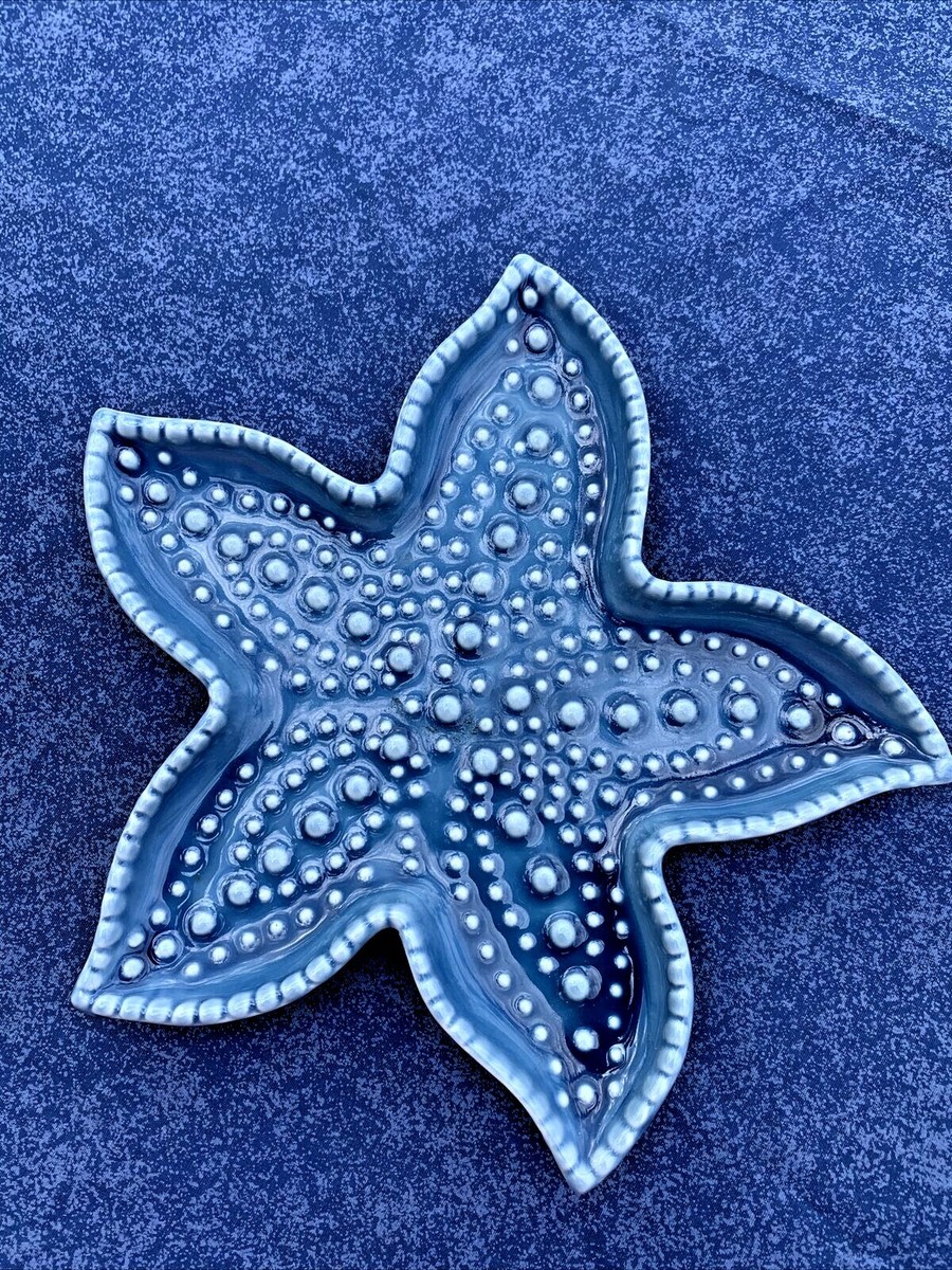 Blue Starfish Care