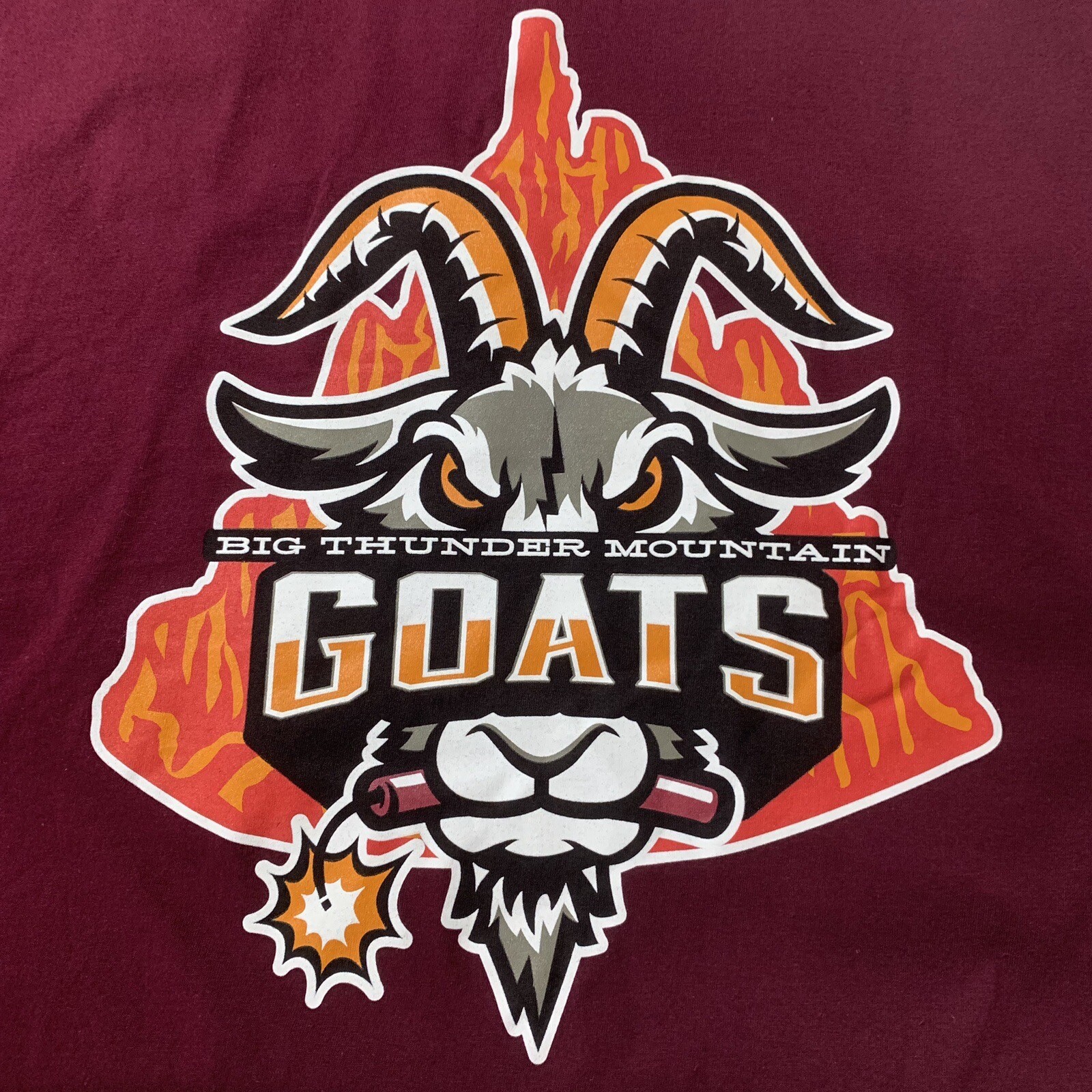 Rare Disney Big Thunder Mountain GOATS Men's XL T-Shi… - Gem