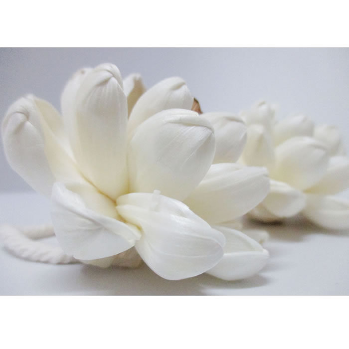 Artificial Big Brown Magnolia Flower Reed Diffuser Relax Fragrance ...