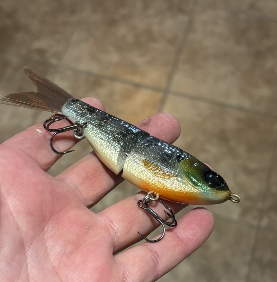 Custom Painted 5 Inch Shad Glide Bait Finesse-ddsfishing | eBay