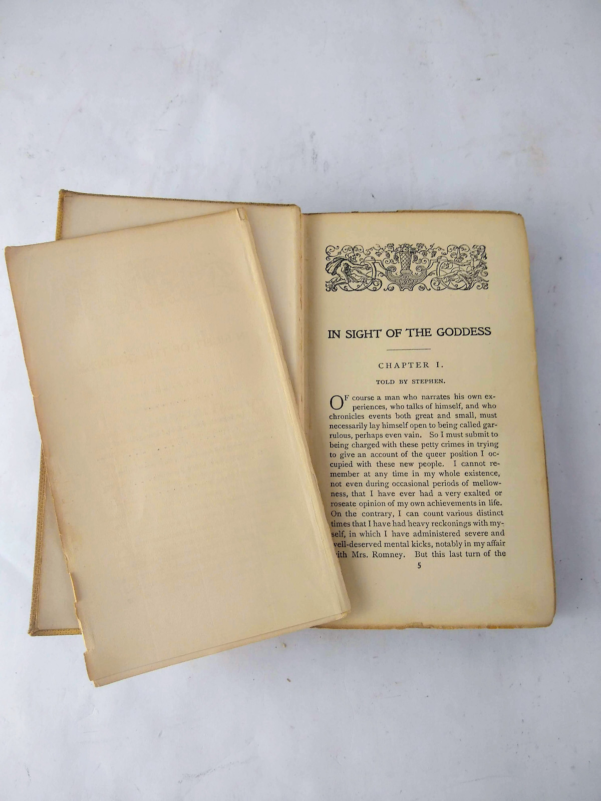 1896 In Sight of The Goddess A Tale of Washington Life by Harriet ...