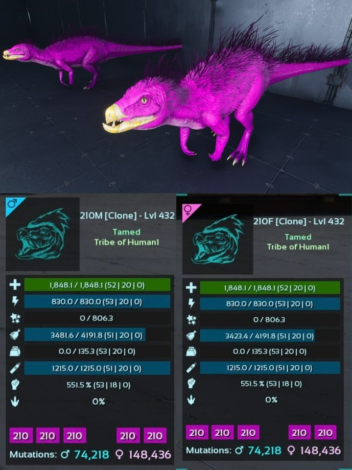 Pegomastax Color Pair Level 400+Clone ARK🦕 Survival Ascended ASA PVE PC ...