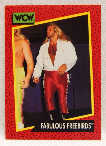 WCW FABULOUS FREEBIRDS, TRADING CARD 1991 CARD #126 | eBay