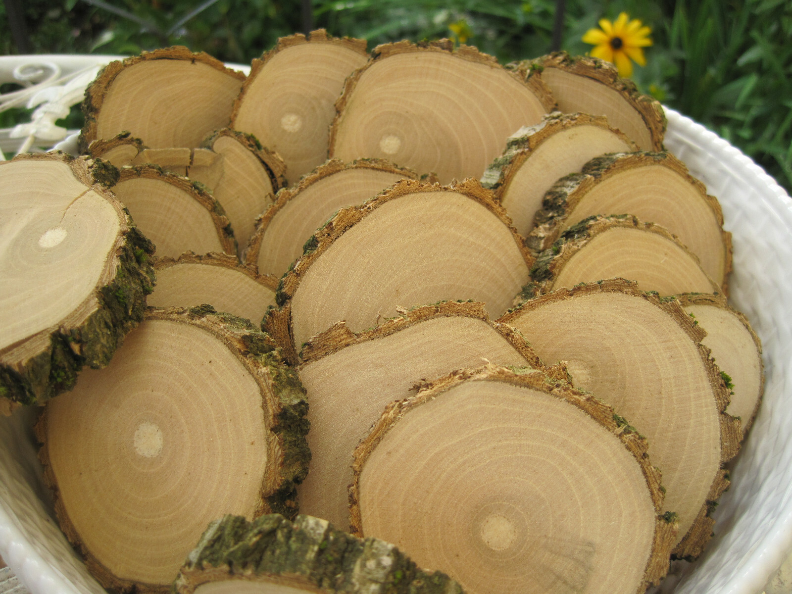 15 x Holzscheiben Astscheiben Baumscheiben Holunder Basteln Deko ...